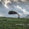 Designing Resilient Event-Driven Systems at Scale