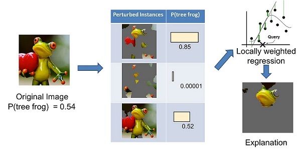 The Case for Explainable AI (XAI)