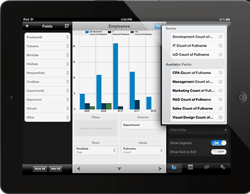 ReportPlus: Create and Access Dashboards, Reports from an iPad