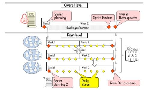 Doing Scrum with Multiple Teams: Comparing Scaling Frameworks - InfoQ