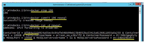 Introduction to SQL Server Containers - InfoQ