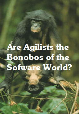 Interview: Linda Rising on Collaboration, Bonobos and the Brain - InfoQ