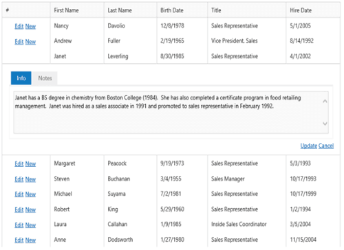 DXperience 13.2 Adds ASP.NET Icon Library, New Themes, Extended Smart ...